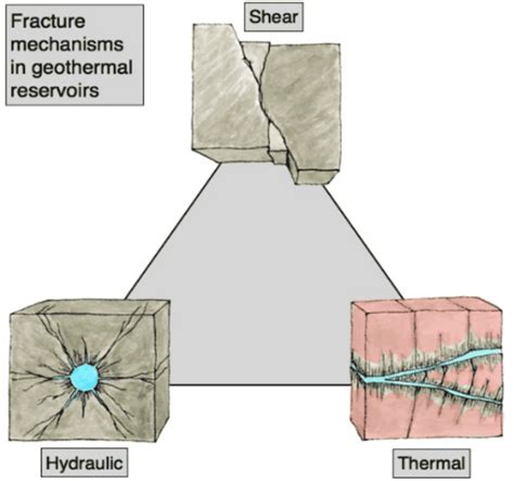 Towards Machine Learning A Fully Coupled Constitutive Model For Thermal