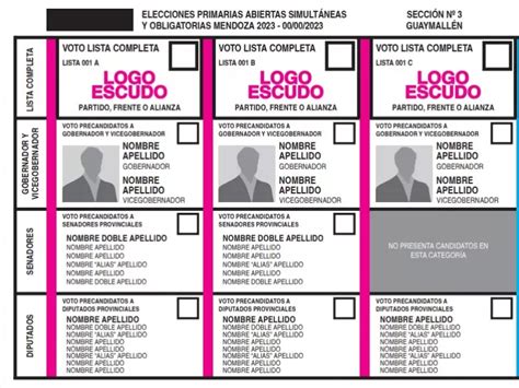 Estos Son Los Cambios En La Boleta Única Para Las Paso Diario Mendoza