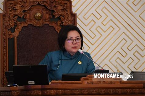 Мөнгөн зээлийн үйл ажиллагааг зохицуулах тухай хуулийг дагаж мөрдөх