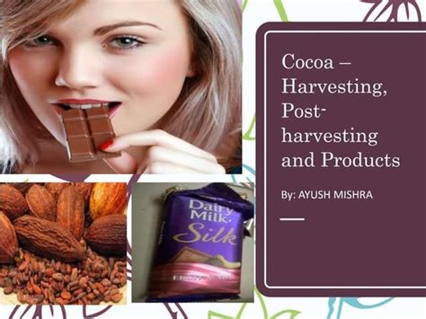 Processing Of Cocoa Ppt