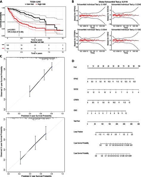 Four Gene Signature Predictive Prognosis Model In Liver Cancer A The