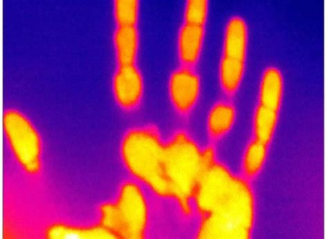 Heat Perception News Research Articles