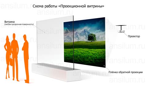 Проекционная витрина – Ansilum - Интерактивная проекционная реклама ...