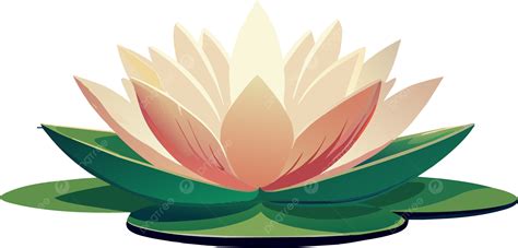 Blooming Lotus Flower Vector Lotus Bloom Flower Png And Vector With