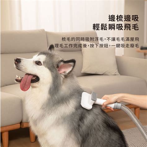 Grantclassic 特經典 Petblow 暖烘烘 二合一吹吸一體吹水機 Pchome 24h購物