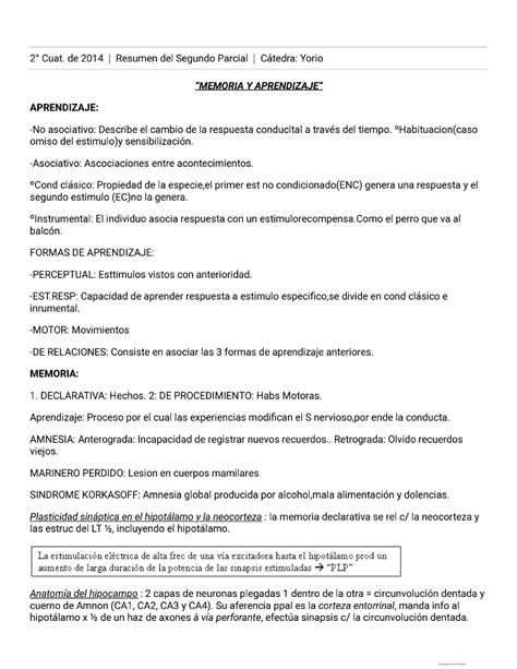 Resumen Del Segundo Parcial Neurofisiologia Yorio 2014