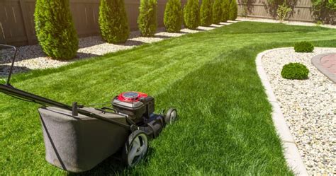 5 Easy Steps To Eliminate Crabgrass This Fall 2024 Complete Gardening