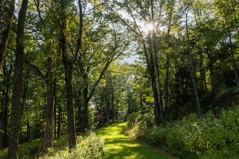 Beautiful Forest Glen Vista In The Summer Pocono Mountains Stock Photo