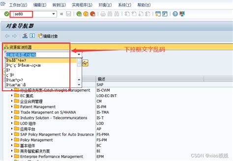 Sap Gui显示乱码sap Gui 乱码 Csdn博客