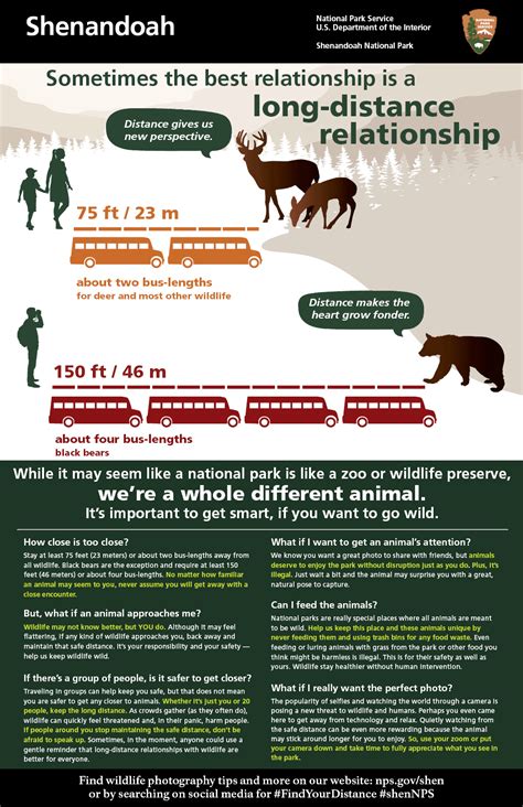 Print Media For Parks Watching Wildlife U S National Park Service