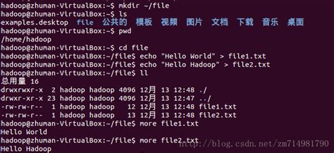 hadoop（二）——wordcount运行和解读 wordcount运行结果终端命令方式 csdn博客