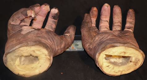 Hansel And Gretel Witch Hunters Edward The Troll Screen Matched Static Hands