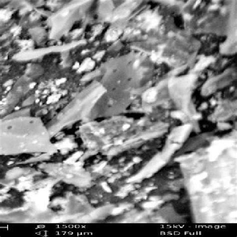 Sem Micrographs Of Sugarcane Bagasse Activated Carbon Download