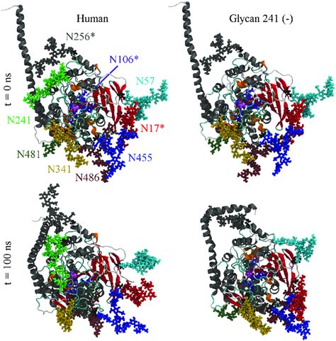 Initial And Final Conformations Initial Top And Final Bottom