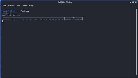 Top 10 Hex Editors For Linux GeeksforGeeks