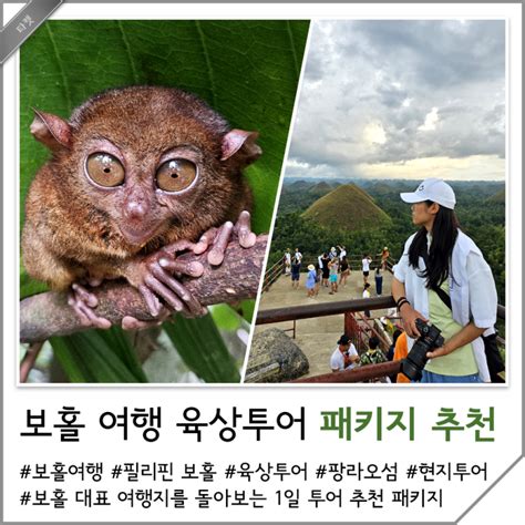 필리핀 보홀 여행 육상투어 안경원숭이 로복강 초콜릿힐 코스 가격 네이버 블로그