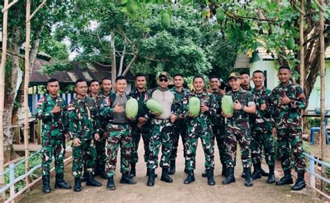 Dukung Ketahanan Pangan Satgas Pamtas RI PNG Statis Yonif 511 DY Panen