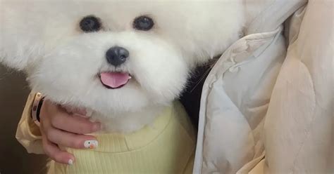 아트돌공예 이플 숨고 숨은고수
