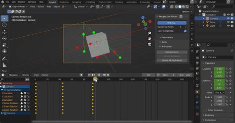 Animation Perspective Plotter Documentation