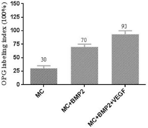 Histomorphometric Analysis Of Newly Formed Bone Figure 4