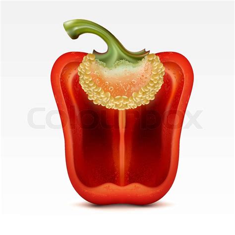 Eine Halbe Rote Paprika Auf Dem Stock Vektor Colourbox