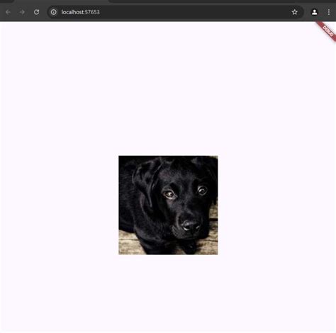 Flutter Basic Widgets Buildandteach Henry Palma