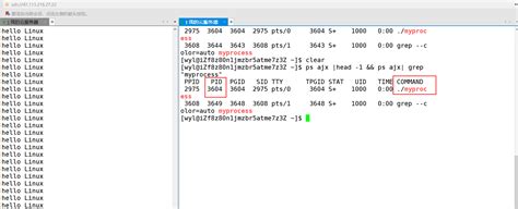 【linux】进程概念 Csdn博客