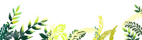 Marco Inferior De Hojas De Plantas De Verano Png Verano Planta