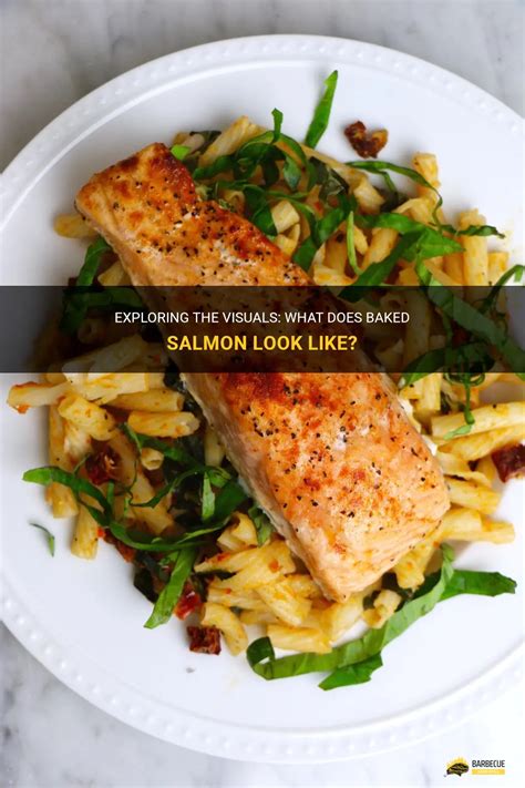 Exploring The Visuals What Does Baked Salmon Look Like Shungrill