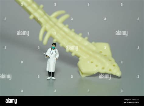 Miniature People Toy Figure Photography A Female Doctor Standing Above