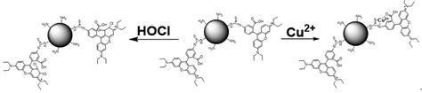 一种可检测次氯酸和铜离子的聚合物纳米粒子、制备方法及应用与流程