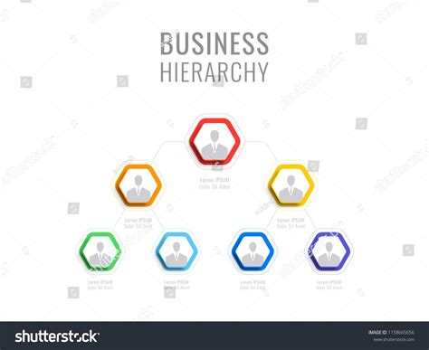 Organizational Structure Company Business Hierarchy Hexagonal стоковая