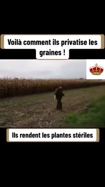 21 Avril 2025 19h05 21 Avril 2025 19h05 Sujets Ce Soir 🐓
