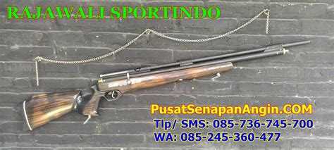 Jual Senapan Angin Gejluk PCP Harga Jual Senapan Angin PCP Model