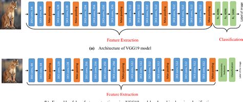 figure 2 from transfer learning for image classification using vgg19