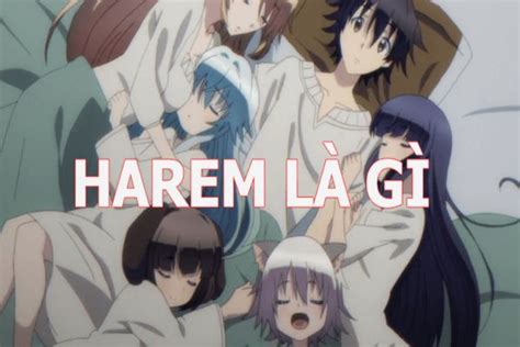 Nhận xét Harem là gì Tại sao Harem được đặc biệt yêu thích