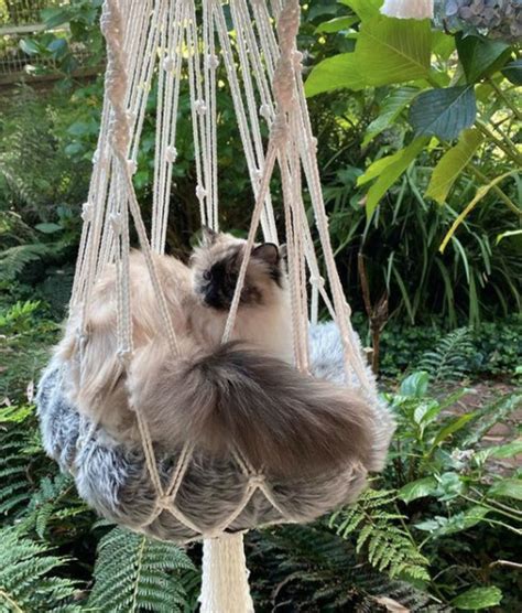 Macrame Colgante Mascota Hamaca Macrame Gato Hamaca Cama De Etsy