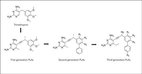 Figure 11 From Propargyl Linked Antifolates As Inhibitors Of The
