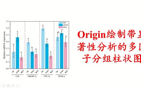 Origin绘制带显著性标记的多因子分组柱状图 枫叶下的童话 默认收藏夹 哔哩哔哩视频