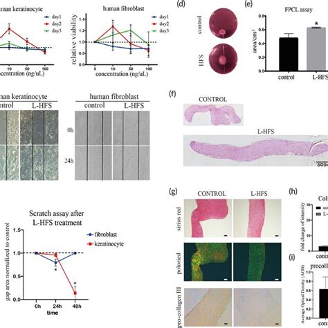 Large Scale Expansion Of Human Fetal Mesenchymal Stem Cells Hfmscs In