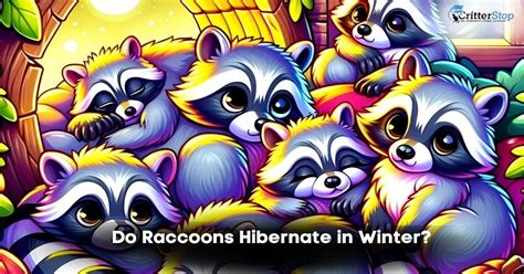 Do Raccoons Hibernate In Winter Critter Stop