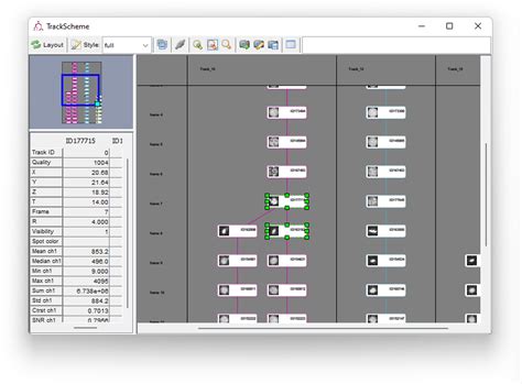 manual editing of tracks using trackmate
