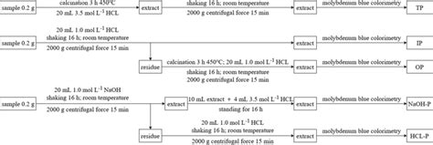 Analysis Of Various Forms Of Phosphorus In Sediments By Smt Protocol Download Scientific