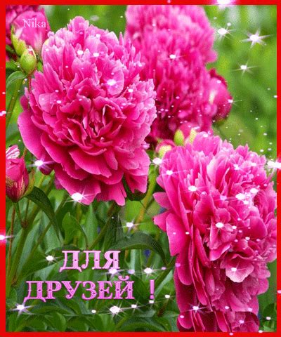 Анимированная открытка Для друзей! цветок