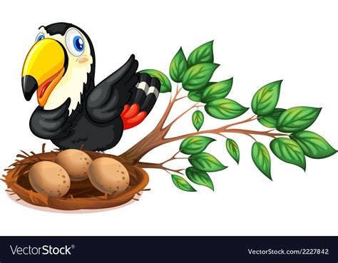 A Nest At The Branch Of Tree With Bird Royalty Free Vector