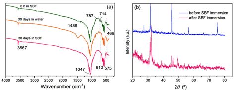 FTIR Spectra A And XRD Patterns B Of Bioglass Coated Bone Samples