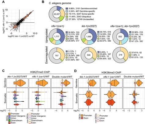 Rna Seq And Chip Seq Indicate That Gene Expression And Distribution Of Download Scientific