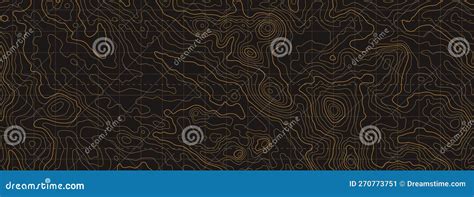 Topographic Map Patterns Topography Line Map Outdoor Vector