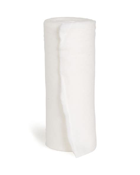 Webril Cast Padding 6 X 4 Yds Bioseal Inc
