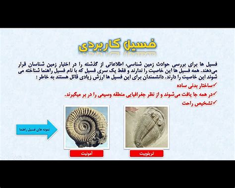 کاربرد فسیل ها